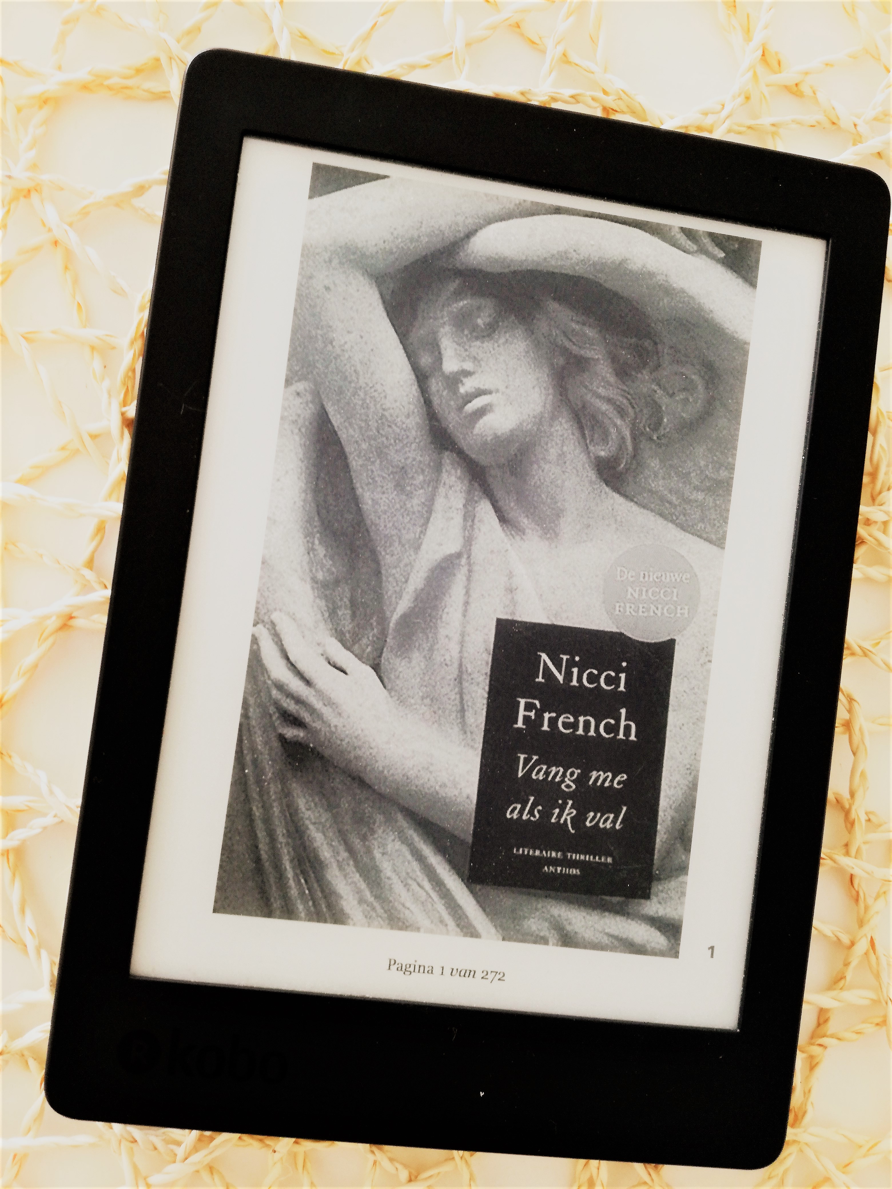 Nicci French: 3 verrassende thrillers, die intrigeren!